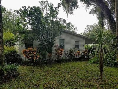 Bulow Plantation RV Resort Mobile Home Park in Flagler Beach, FL ...