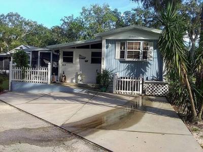 Holiday RV Village Mobile Home Park in Leesburg, FL | MHVillage