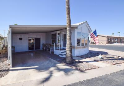 Rock Shadows RV Resort Mobile Home Park in Apache Junction, AZ | MHVillage
