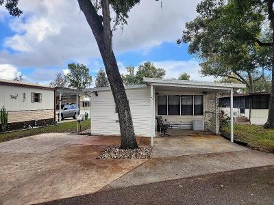 Holiday RV Village Mobile Home Park in Leesburg, FL | MHVillage