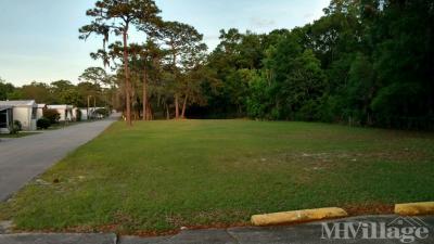 Marion Pines Mobile Home Park Mobile Home Park in Ocala, FL | MHVillage