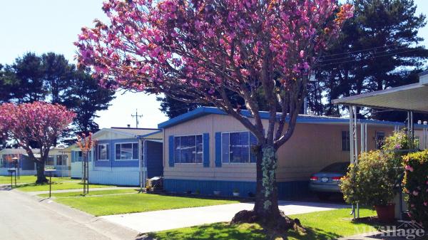 Lazy J Ranch Mobile Home Park in Arcata, CA | MHVillage
