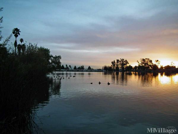 Lake Los Serranos Club Mobile Home Park in Chino Hills, CA | MHVillage