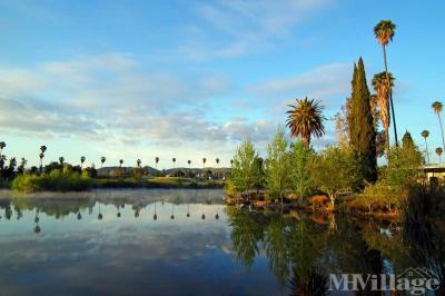 Lake Los Serranos Club Mobile Home Park in Chino Hills, CA | MHVillage