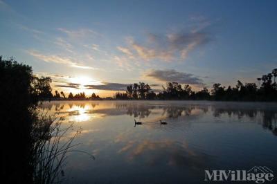 Lake Los Serranos Club Mobile Home Park in Chino Hills, CA | MHVillage