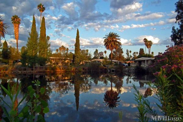 Lake Los Serranos Club Mobile Home Park in Chino Hills, CA | MHVillage