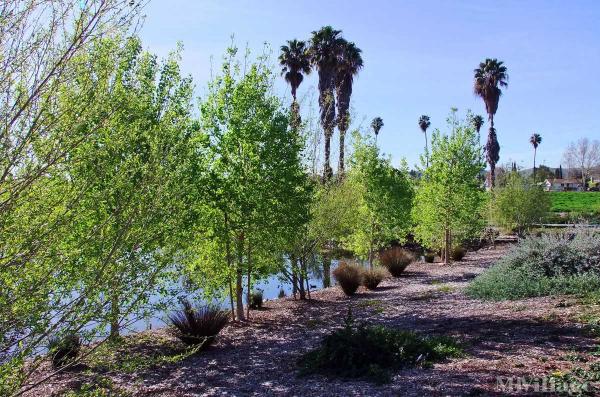 Lake Los Serranos Club Mobile Home Park in Chino Hills, CA | MHVillage