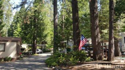 Bonanza Mobile Home Park Mobile Home Park in Pollock Pines, CA | MHVillage