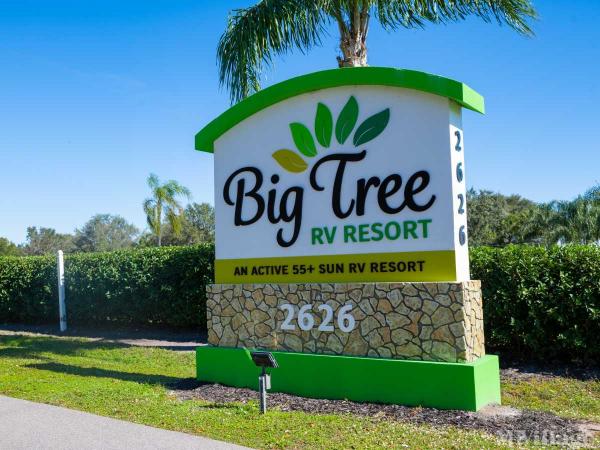 Big Tree RV Resort Mobile Home Park in Arcadia, FL | MHVillage