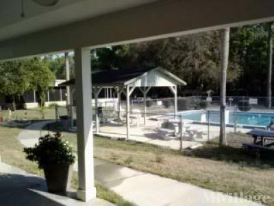 Marion Pines Mobile Home Park Mobile Home Park in Ocala, FL | MHVillage