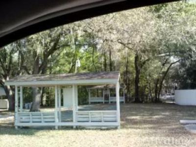 Marion Pines Mobile Home Park Mobile Home Park in Ocala, FL | MHVillage