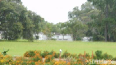 Marion Pines Mobile Home Park Mobile Home Park in Ocala, FL | MHVillage