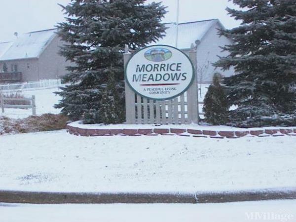 Morrice Meadows Mobile Home Park in Morrice, MI | MHVillage