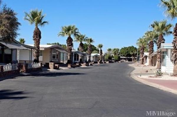 Yuma, AZ Senior Retirement Living Manufactured and Mobile Home Communities