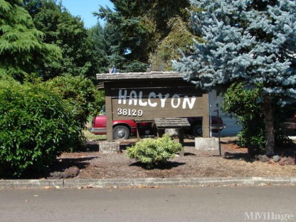Halcyon Mobile Home Park Mobile Home Park in Lebanon, OR | MHVillage