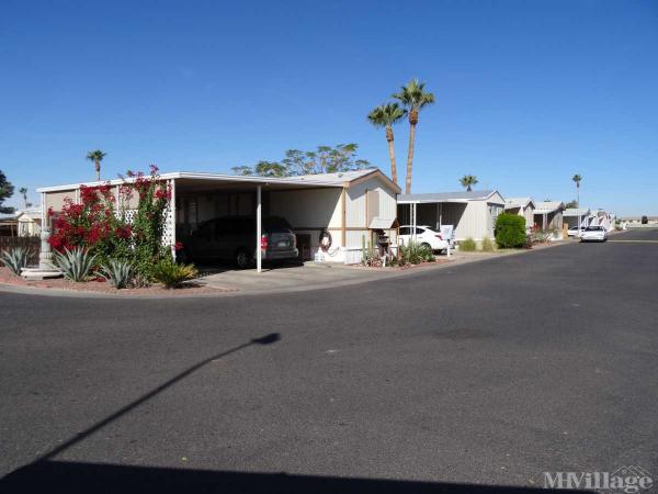Shamrock Manufactured Home Community Mobile Home Park in Glendale, AZ ...