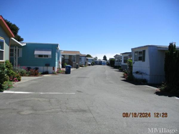Homestead Mobile Home Park Mobile Home Park in Santa Cruz, CA | MHVillage