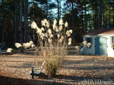 Meadow Woods Mobile Home Park in Carver, MA | MHVillage