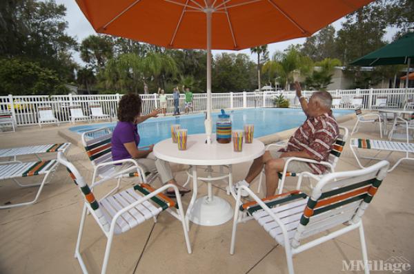 Homosassa River RV Resort Mobile Home Park in Homosassa Springs, FL ...